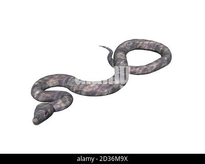 meandering snake writhing on the earth Stock Photo - Alamy