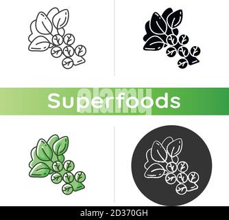 Brussels sprouts Cabbage icon logo sign vector outline in black and ...