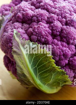 Cutting a purple cauliflower Stock Photo - Alamy