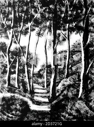 Walking Path Drawing