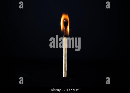 Matchsticks has ignited, showing fired light up in isolated. vertical ...