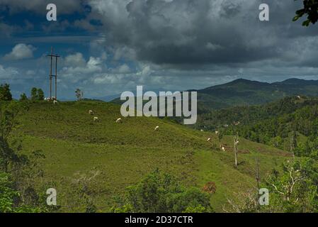 Mountains, Cayey Puerto Rico Stock Photo - Alamy