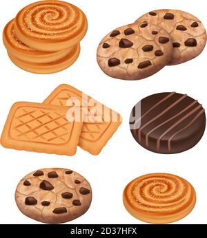 Cookies and biscuits with chocolate and cream Stock Vector Image & Art ...