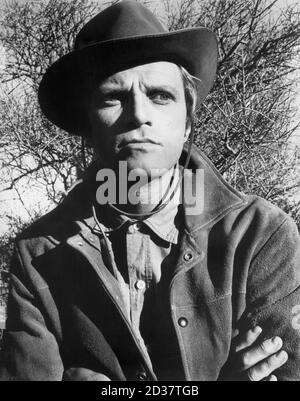 THE MINI-SKIRT MOB, Jeremy Slate, (center), 1968 Stock Photo - Alamy