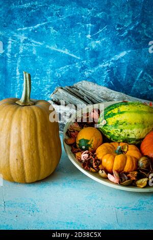 Vertical shot of various squashes Stock Photo - Alamy