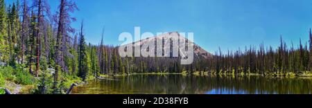 Lake Cuberant hiking trail views of ponds, forest and meadows with Bald ...