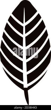 lanceolate leaf design Stock Vector Image & Art - Alamy