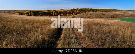 Panoramic landscape of central Russia agricultural countryside with ...
