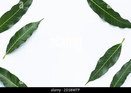 Frame made of sweet ripe mangoes on white background Stock Photo - Alamy
