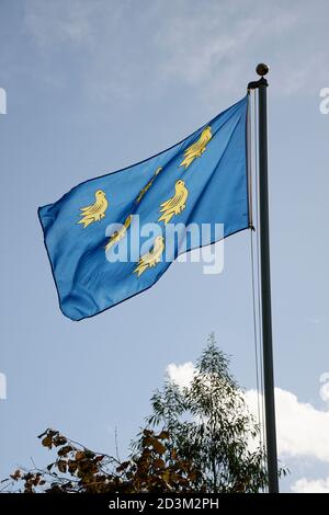 The six gold martlets on a blue background is the official heraldic ...