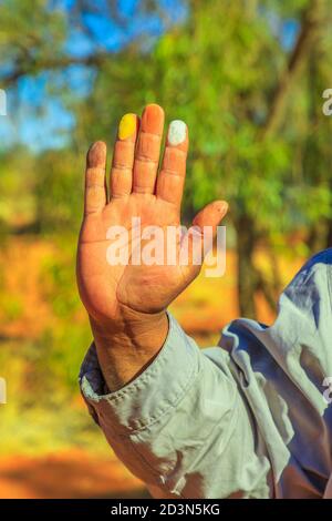 Close-up of hand of an Aborigine painting a fish with old-fashioned ...
