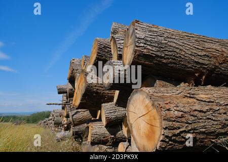 Pile of logs stacked on top of each other Stock Photo - Alamy