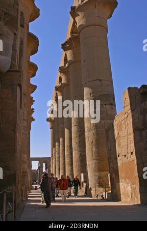Columns and rows of columns in the magnificent Temple of Luxor Stock ...