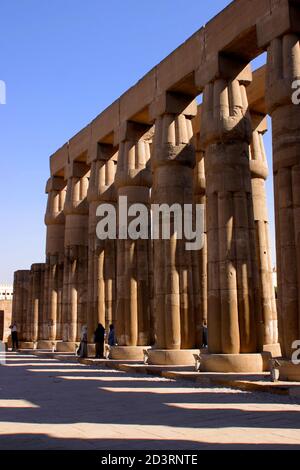 Columns and rows of columns in the magnificent Temple of Luxor Stock ...