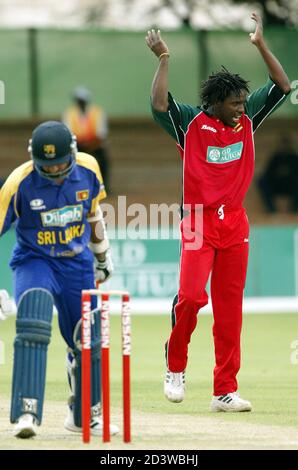 Zimbabwean bowler Douglas Hondo celebrates getting South Africa's ...