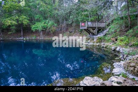 O'BRIEN, FLORIDA, UNITED STATES - Oct 20, 2018: A wooden jumping ...