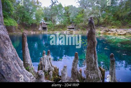 O'BRIEN, FLORIDA, UNITED STATES - Oct 20, 2018: A wooden jumping ...