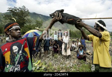 Pig Festival in Dani Village, Baliem Valley, West Papua, Indonesia ...