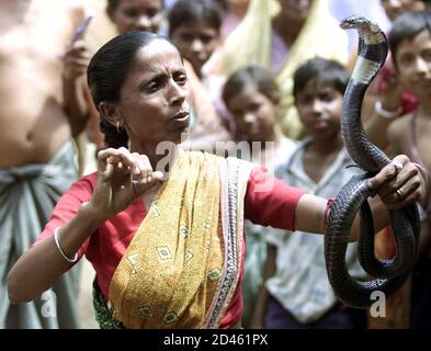 Nag Panchami Snake festival ; cobra snake ; battis shirala ; Kolhapur ...