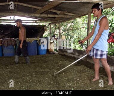 Cocaine factory in Colombia Stock Photo - Alamy
