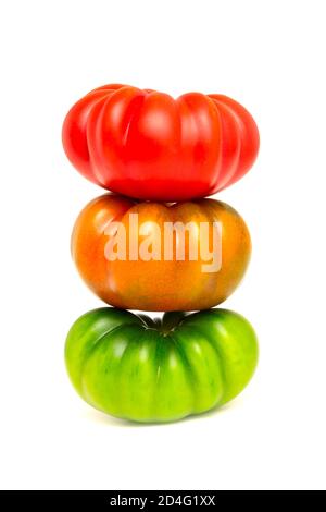 Marinda Tomatoes (Solanum lycopersicum) on a white background Stock ...