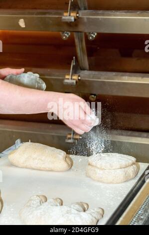 Making cookie bread with sugar before baking, shape dough into a ball ...
