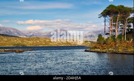 Connemara National Park landscape with the Twelve Bens mountains and ...