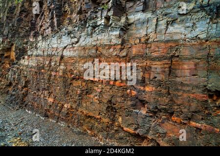 Hard shale beds with ironstone nodules in an abandoned quarry in South ...