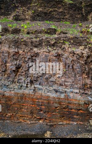 Hard shale beds with ironstone nodules in an abandoned quarry in South ...