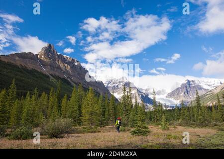 Backpacker hiking towards Castleguard Meadows, Banff National Park ...