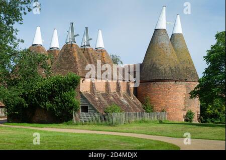 Oast house building designed for kilning (drying) hops as part of the ...