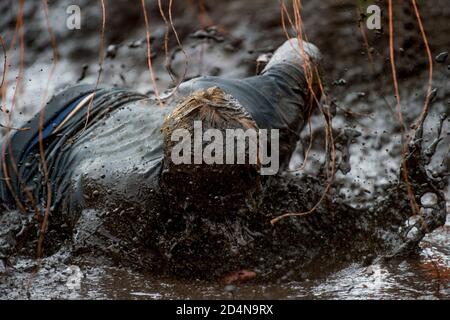 Mud race runners. Crawling,passing under a barbed wire obstacles during ...