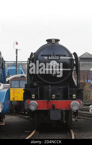 The Blue Peter Steam Train, an A2 No. 60532 Locomotive designed by ...