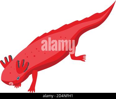 Aquatic axolotl icon, isometric style Stock Vector Image & Art - Alamy