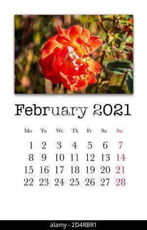 Calendar card for the month of February 2021 Stock Photo - Alamy