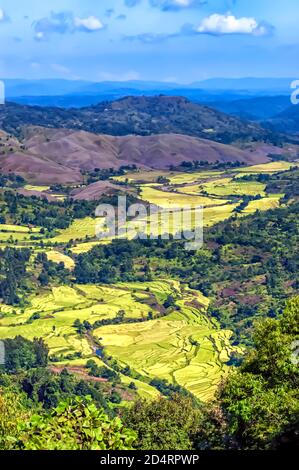 Agricultural landscape with rice fields and the meandering Harpan Khola ...