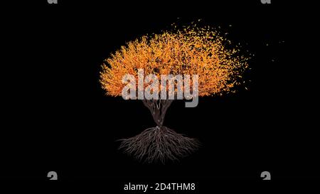 Tree in a spherical shape. Seasonal transition on black background. Eco ...