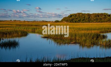 A view of the saltwater marshes with grasslands in the early morning ...