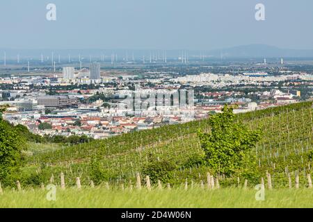 Buildings of Vienna from a hill on a foggy day in Austria Stock Photo ...