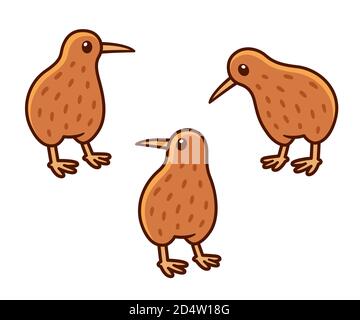 Bird kiwi, illustration, vector on white background Stock Vector Image ...
