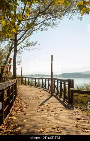 Romantic wooden walkway in trees by the lake Stock Photo - Alamy