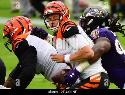 Cincinnati Bengals quarterback Joe Burrow (9) looks on during an NFL ...