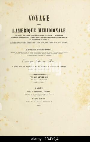 Crustacean Crustaceans form a large, diverse arthropod taxon which ...