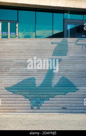 Artist Tommy Graham liverbird drawing on the steps of the Museum of ...