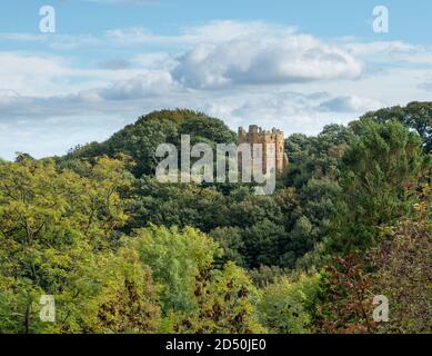 Stone-built folly in woodland habitat, The Burn, Glen Esk, near Edzell ...
