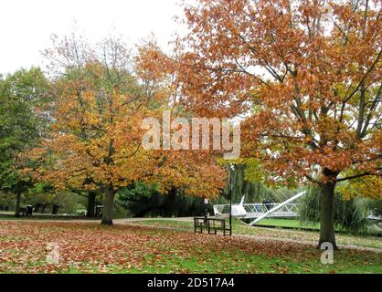 Bedford, UK. 12th Oct, 2020. Pathway leading to trees full of autumn ...