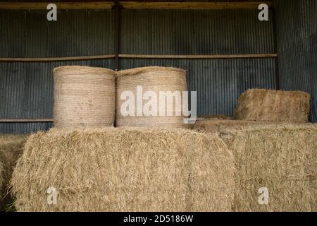 close up of different shaped hay-bales for food store inside barn in ...