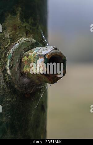 Worn metal nut, covered in construction dust, rests on a textured ...