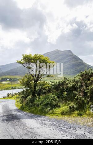 Dramatic scenery along western way walk at Tawnyard, County Mayo ...