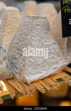 Cheese collection, French Pouligny pyramid cheese made from goat milk ...